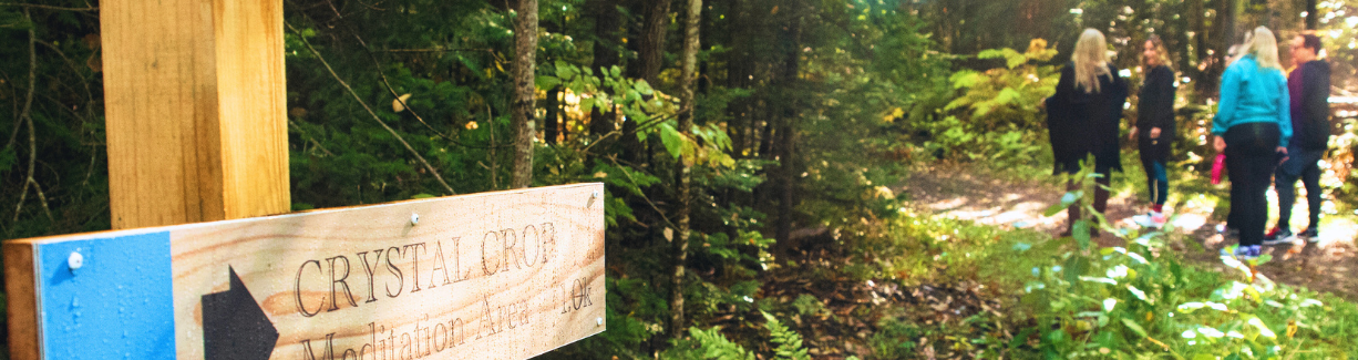 Grail Springs Wellness Retreat | About Us